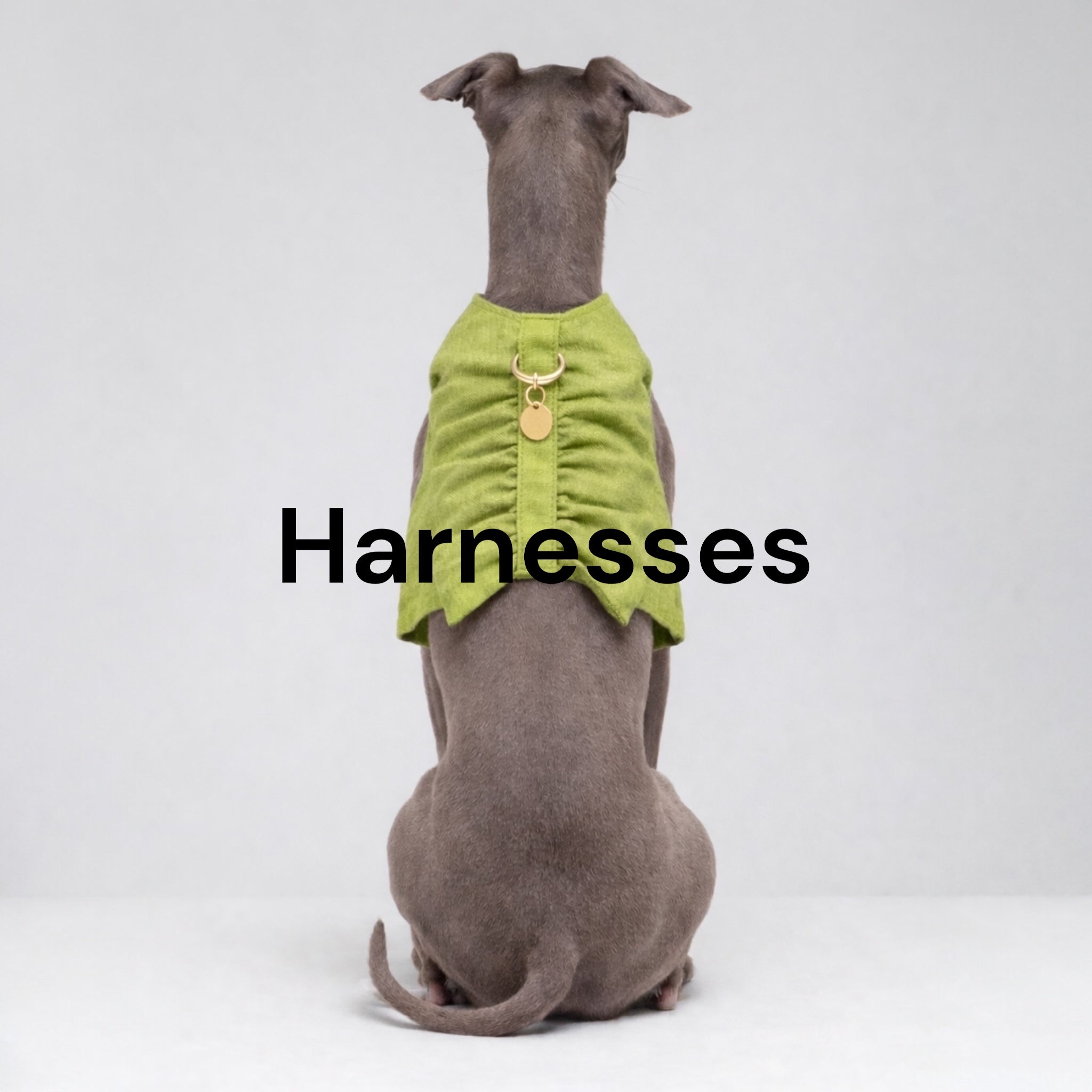 Luxury dog clothing and accessories | My Pet Luxury Boutique